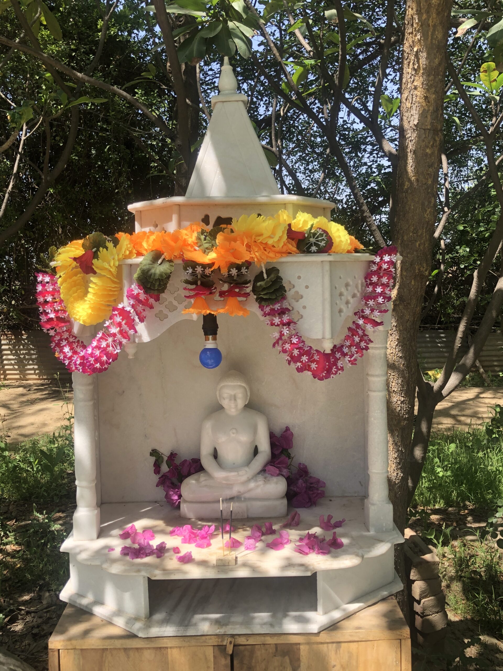 Osho Dhyan Upvan – Trust is the bridge between you and existence